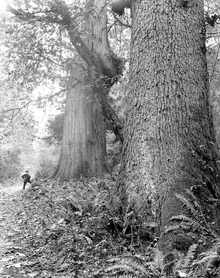 A Devastating History Of Stanley Park - Forbidden Vancouver
